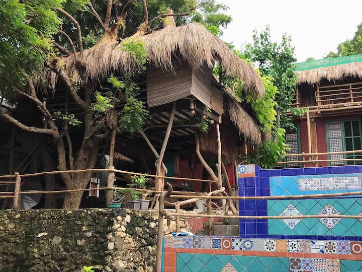 Tree House by the ocean with pool ( for 2 guests) - Treehouses for Rent ...