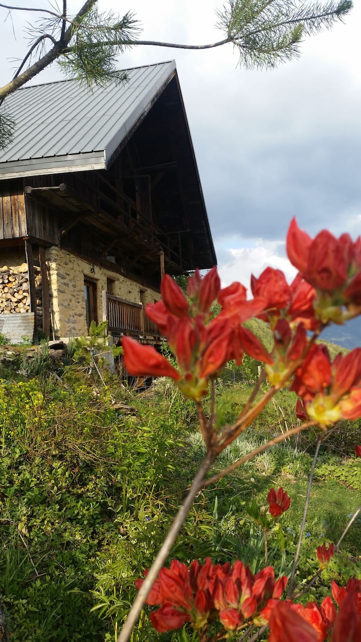 Chalet Des Poètes - 6/8 Personnes Beaufortain - Hauteluce - Les Saisies