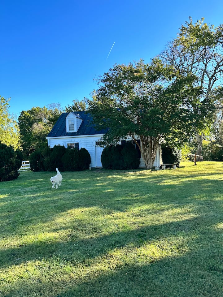 Experience The Meadows 3 Br/2 Ba Cozy Farm Cottage - Barboursville Vineyards, Barboursville