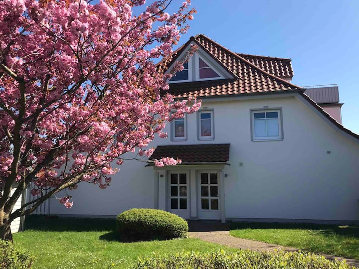 Ferienwohnung Direkt An Der Steilküste Ostsee - Boltenhagen