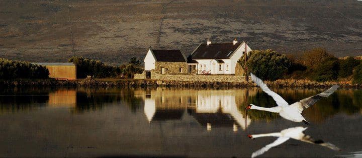 Luxury Cottage On Waters Edge - Lisdoonvarna