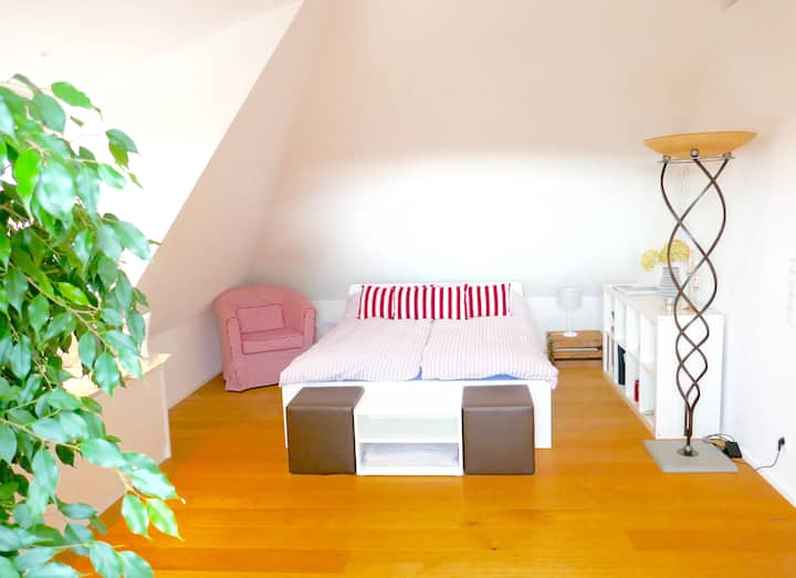 Design Loft Room, 50qm, Own Bath And Air Condition - Stuttgart