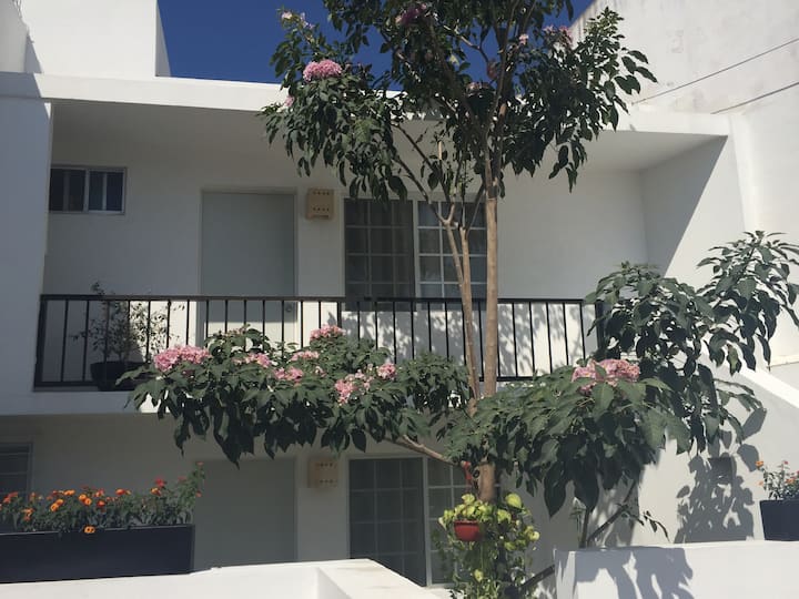 Exclusivo Y Cómodo Departamento 3. - Ciudad Valles