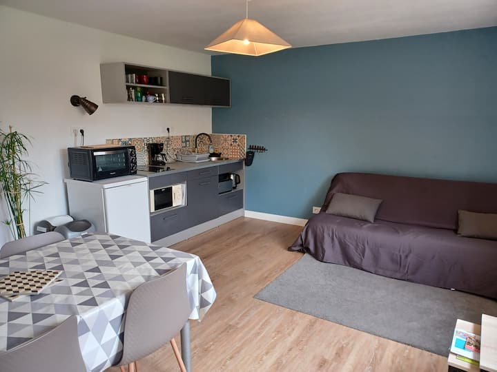 Appartement Avec Jardin En Plein Coeur De Josselin - Josselin
