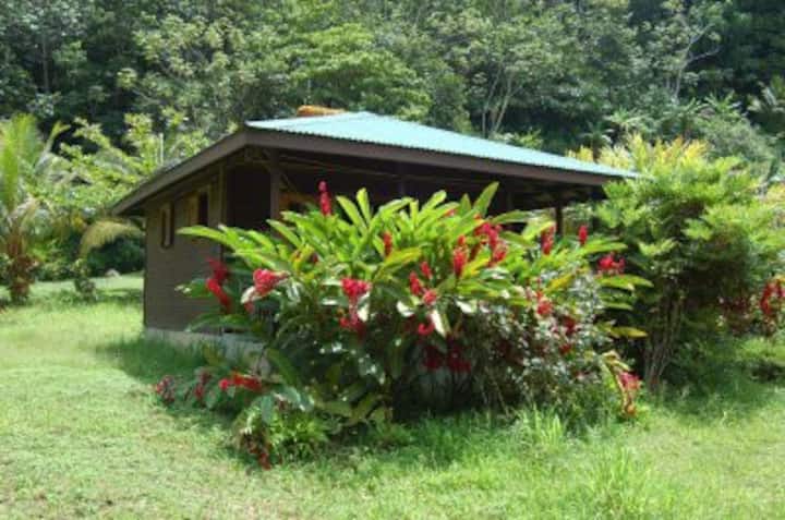 La Plaine Alquileres vacacionales y alojamientos - Saint Patrick Parish ...