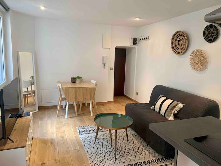 Annecy Coeur De Ville/lac - Appartment 1 Chambre - Annecy-le-Vieux