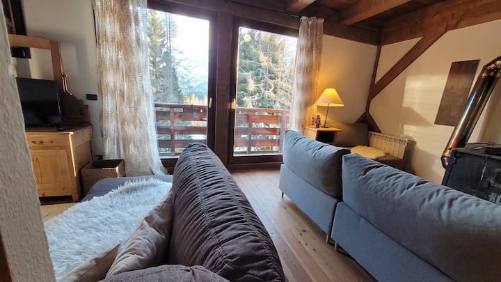 Chalet Dolomiti Otto Posti - Sappada