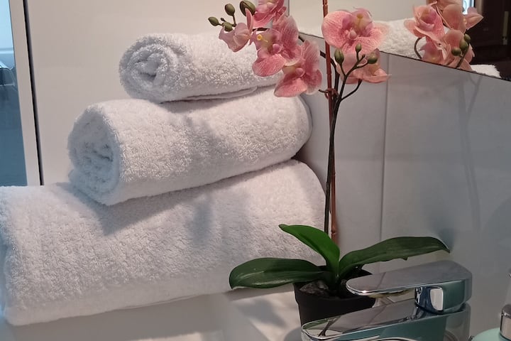 La Casa Di Sony/roma - Frascati