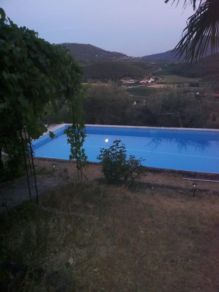 Magici Colli Euganei - Este