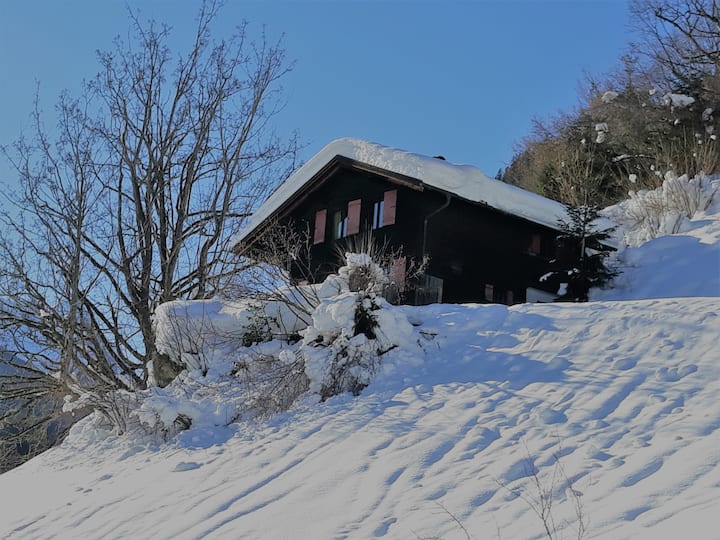 Ferienhaus Schnider - Gargellen