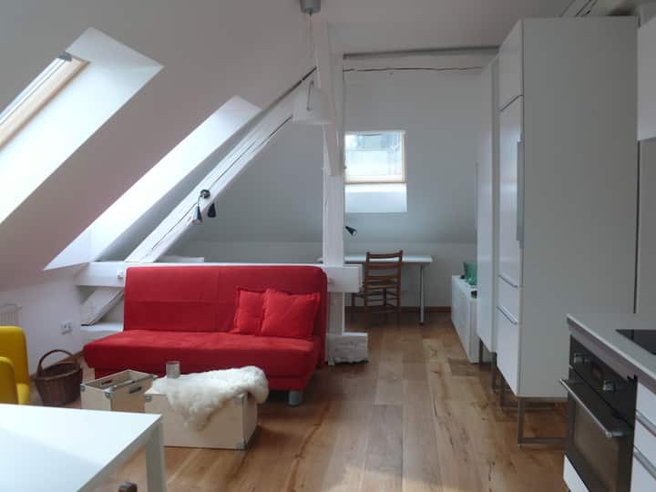 Gemütliches, Zentrales Dachgeschoßappartement - Graz