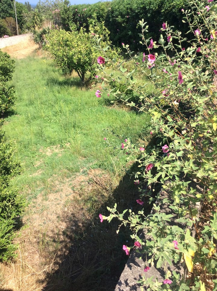 Location - Corsica