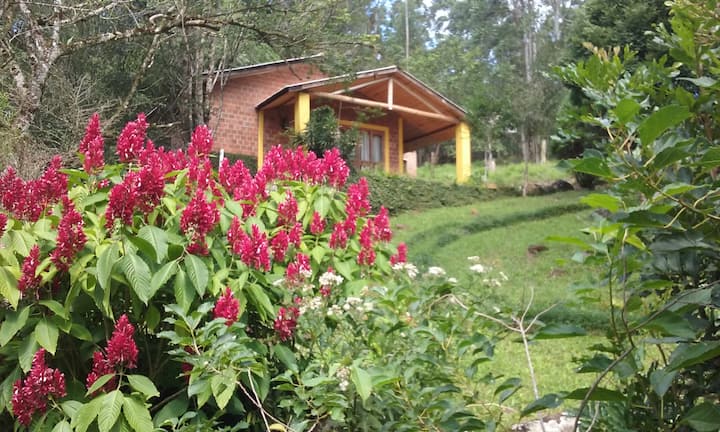 ÎTininga Guest House - Maquiné