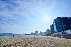 A Day Of Animal Fun At Busan Zoo | Trip101