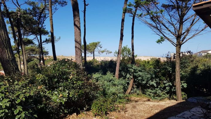 Jolie Maison Landaise à 5mn De La Plage 7 Pers - Lacanau Océan