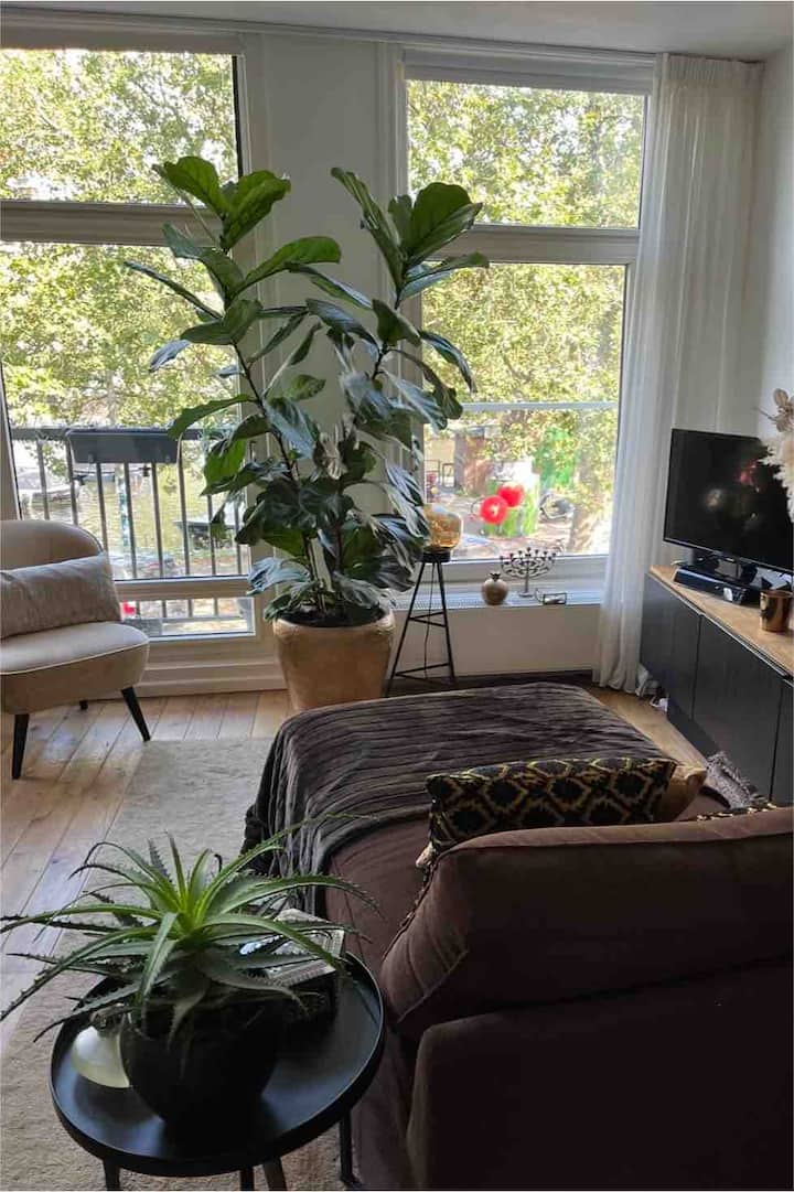 Luxurious Studio In The Center - Amsterdam