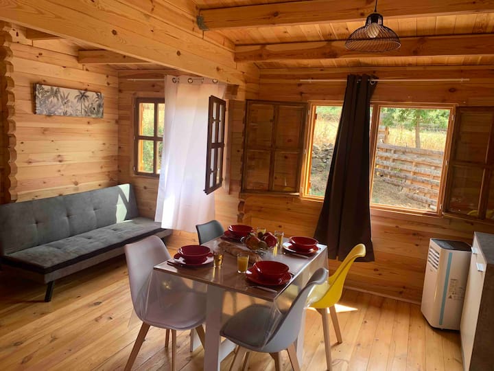 Chalet Accueillant Avec Piscine A - Korzika