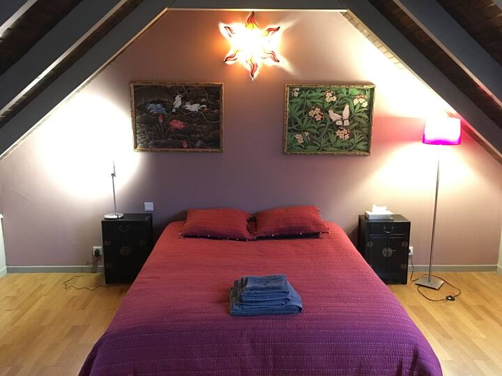 Chambre Double Spacieuse Avec Sdb, Quimper Centre - Quimper