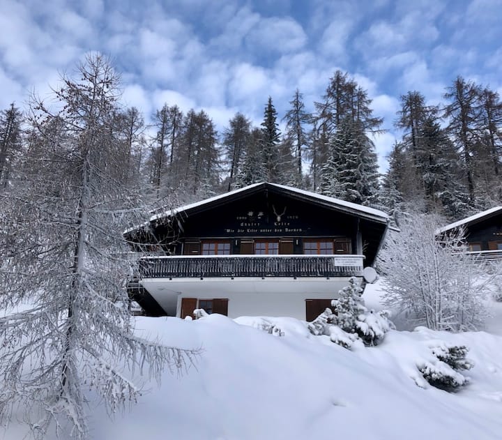 Ski-in Ski-out Chalet In Bellwald Zwitserland - Bellwald