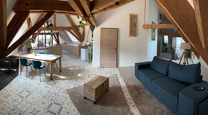 Loft 130m2 Neuf Spa - Colmar