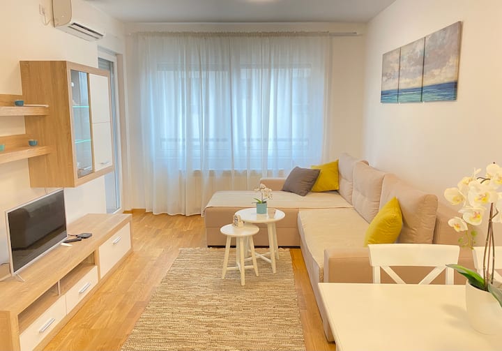 Entire Flat With Free Private Garage In Vracar - 베오그라드