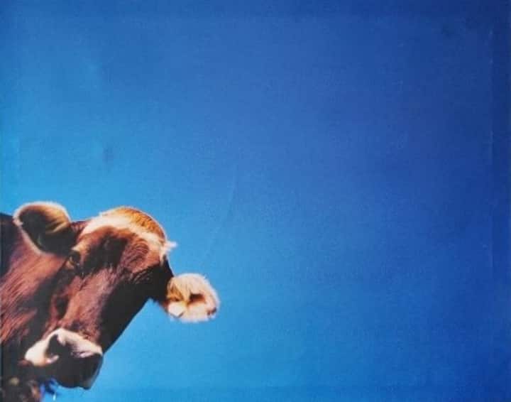 Sonniges Platzl "Zur Ehrlichen Kuh" - Schladming