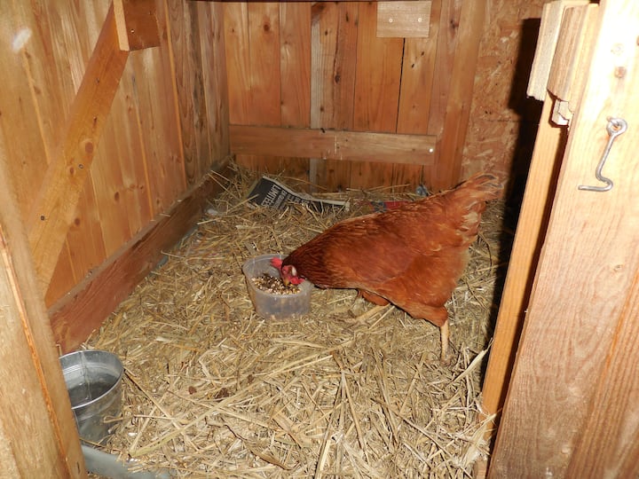 Maisonnette Avec Véranda - Le Cannet