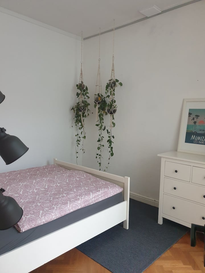 Serre Kamer - Zwolle