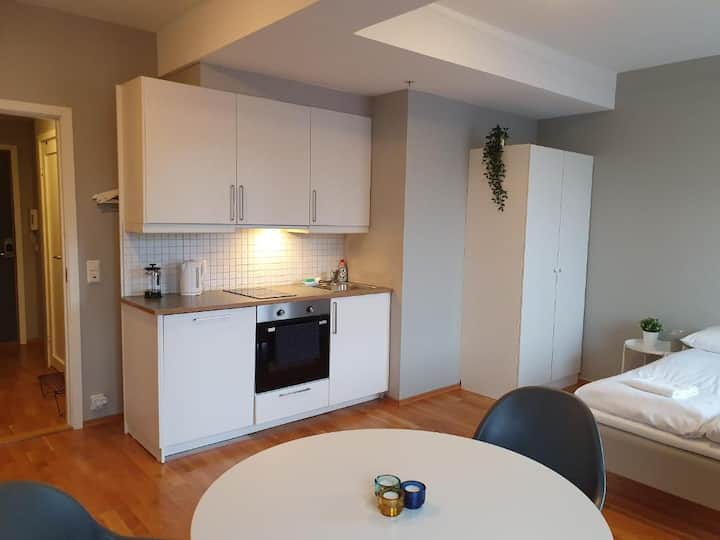 Studio Apartment 502 In The Center Of Bergen - Bergen