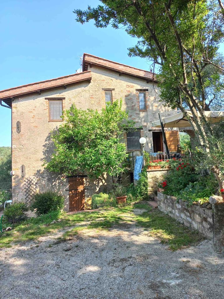 Rustico In Collina Vista Mare - Camaiore