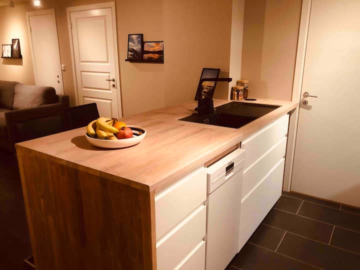Koselig Delvis Nyoppusset Leilighet - Tromsø