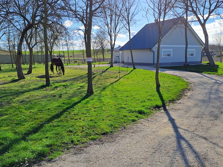 Panoramic Retreat With Horses - Győr
