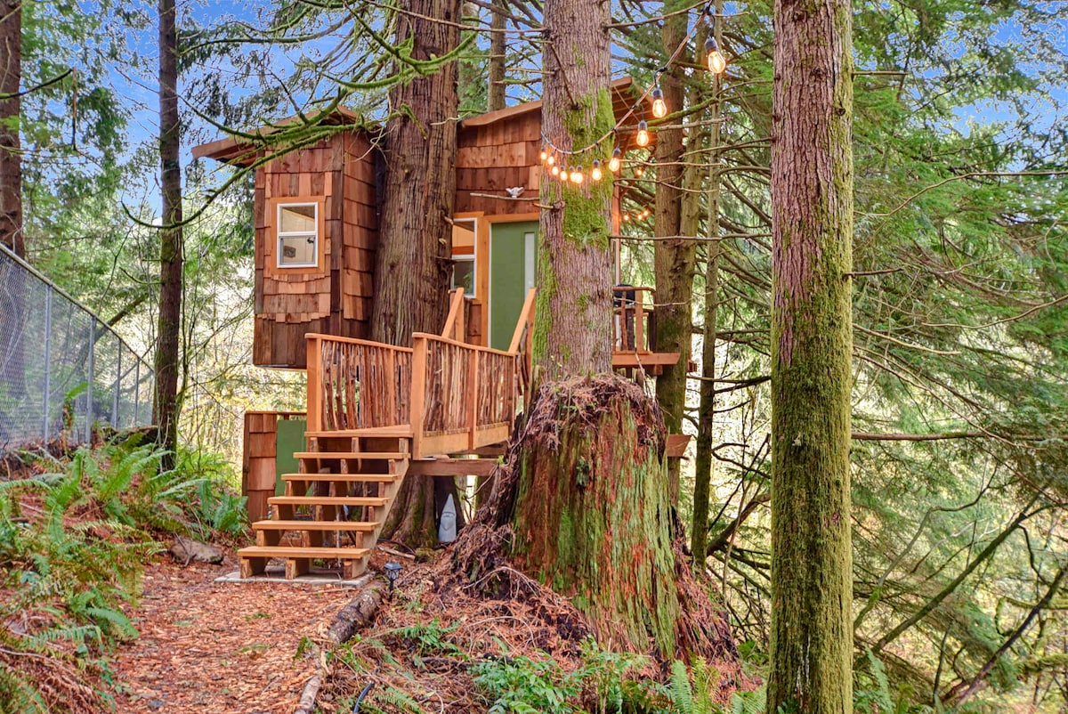 Cozy, modern treehouse w/ outdoor shower&soak tub - Treehouses for Rent ...