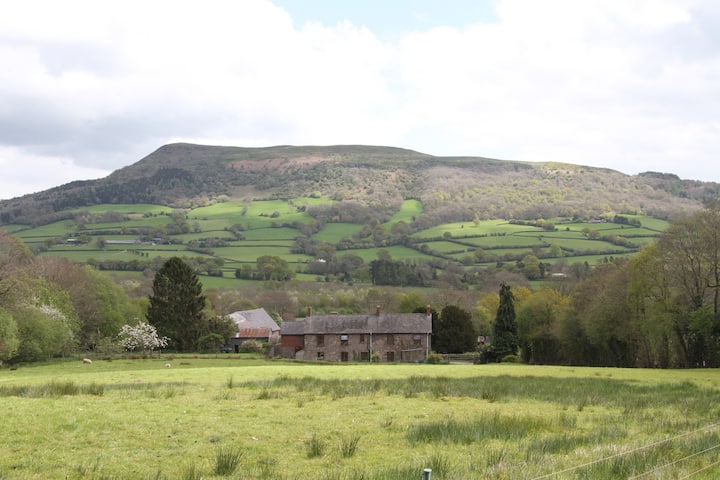 Dan Y Berllan Pantygelli Abergavenny - Abergavenny
