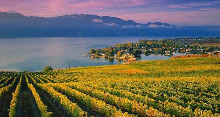 Licensed/phenomenal Lakeview/1b1b/shared Bathroom - Kelowna