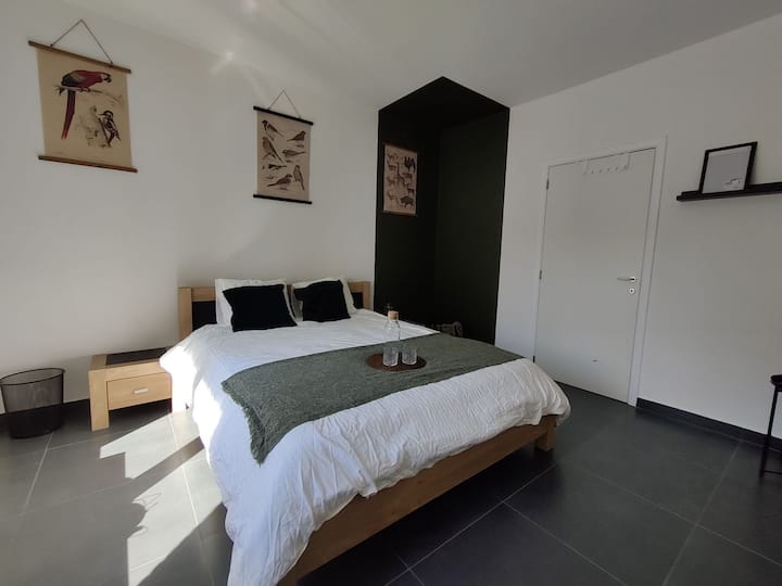 Twee Gezellige Kamers (Brussel, Mechelen & Leuven) - Louvain