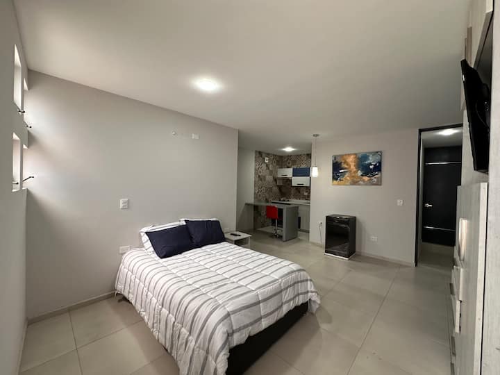 1. Loft Nuevo Cerca De La Feria De San Marcos - Aguascalientes