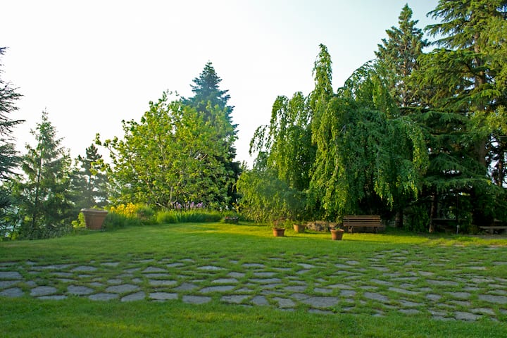 La Petite Maison Dans La Forêt - Côme