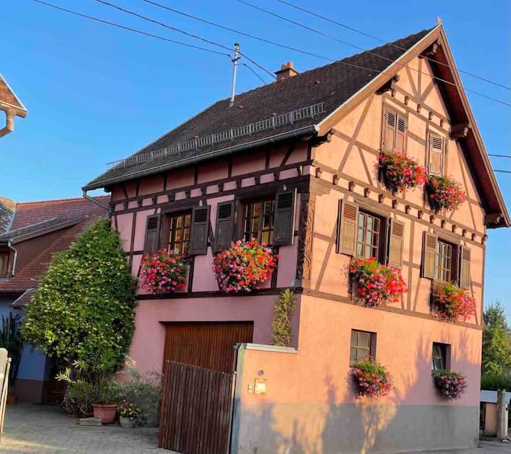 Gîte Du Rittersberg - Ibis Budget Sélestat