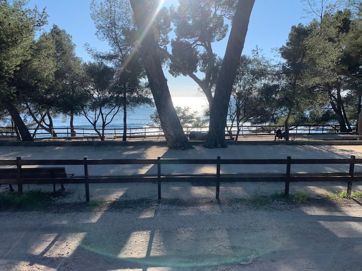 Appartement Les Pieds Dans L’eau. - Le Pradet