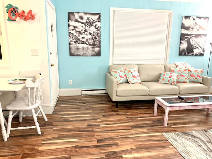 Ritchie Village: The Pink Flamingo - Appleton, WI