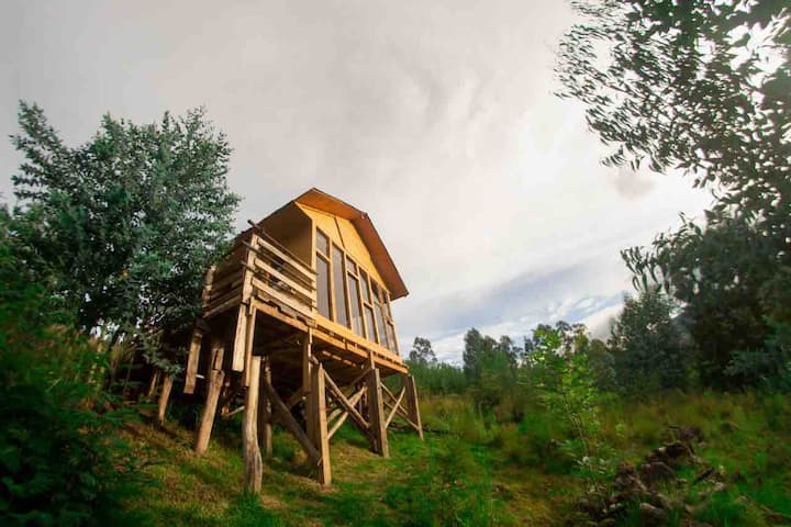 La Divina Casa De La Montaña - Iza