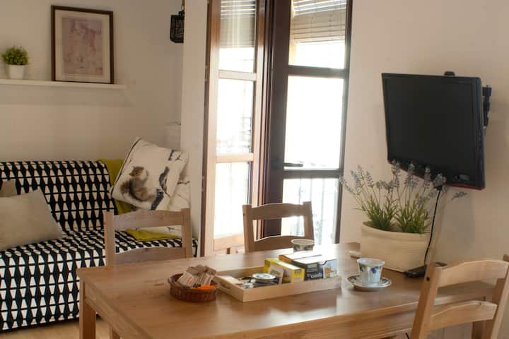 Luminoso Y Tranquilo Apartamento En Centro Sevilla - Sevilla