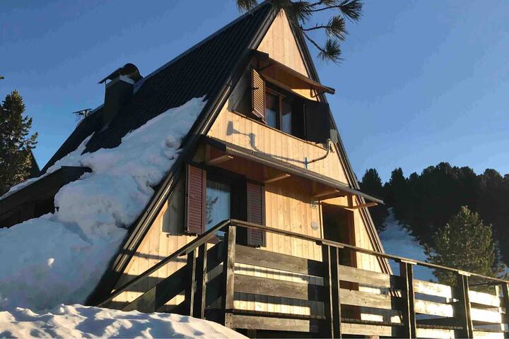 Chalet Paoletta - Alpe Cermis - Predazzo