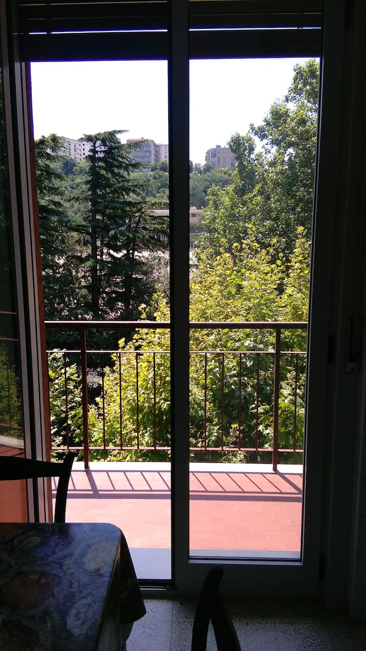 All'ippodromo - Trieste