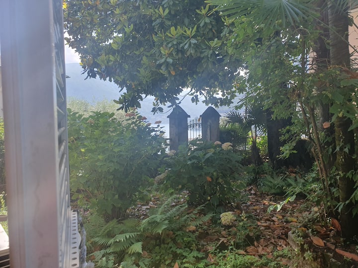 Halfboard Downtown  Lago 0  Flat - Lugano