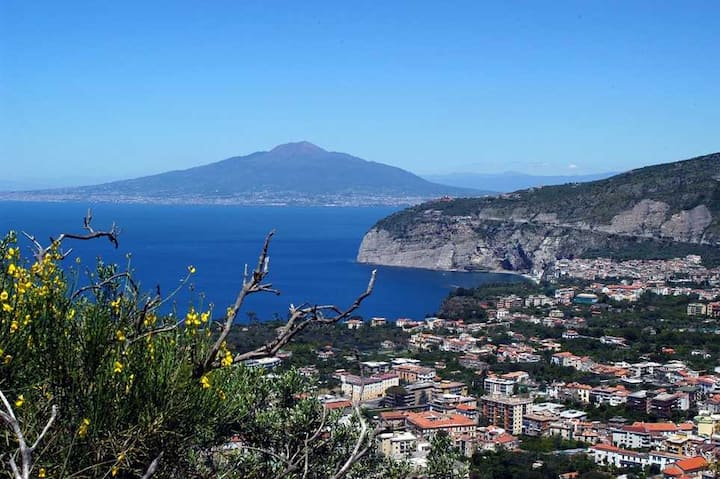 Sorrento An Amazing Place Between Nature And Sea - Sorrento, Italia