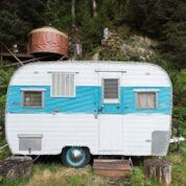 Cozy Vintage Camper With Free Breakfast! - Seward, AK