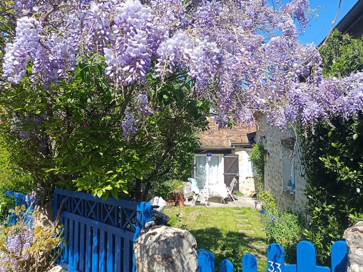 Les Glycines - Saint-Chéron