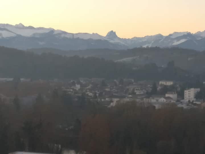 Au Calme Au Milieu De Tout - Pau